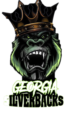 11U League Standings